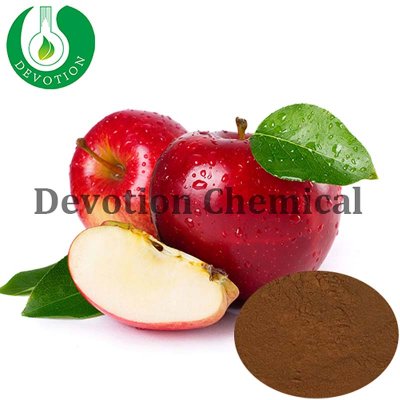Fruit Extract-Extract Powder-Natural Extract Suppliers and Exporters