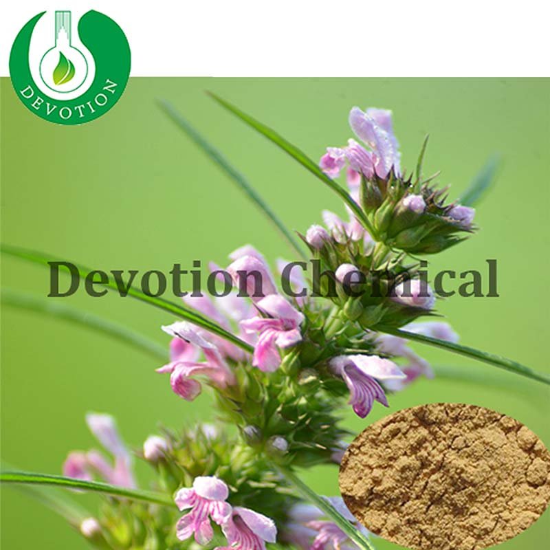Motherwort Extract / Leonurus Cardiaca Extract