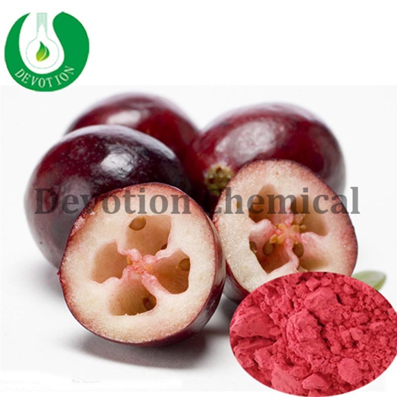 Cranberry Extract Powder - Procyanidin